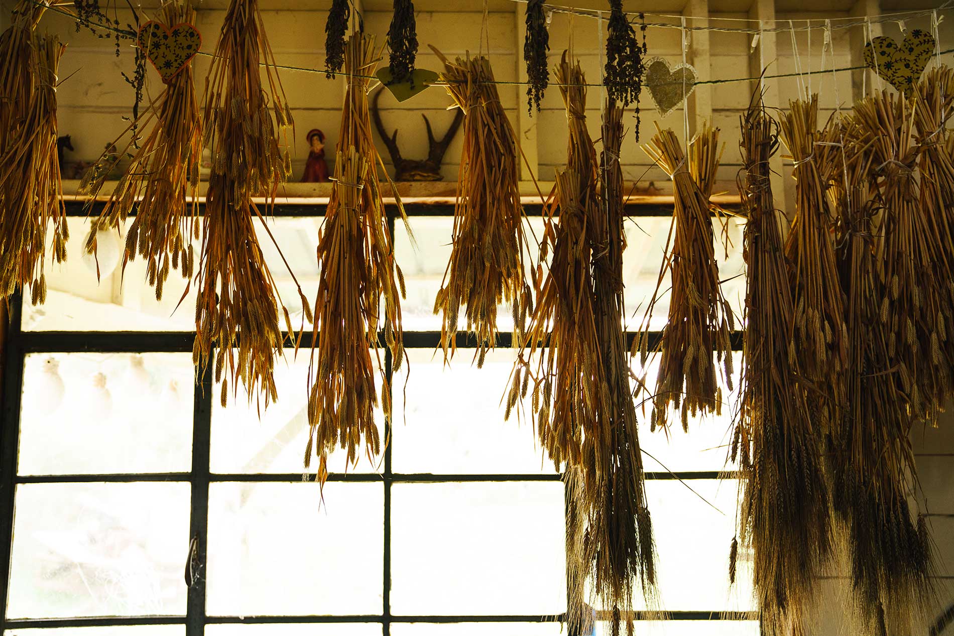 About – Gaining Ground Farm NC